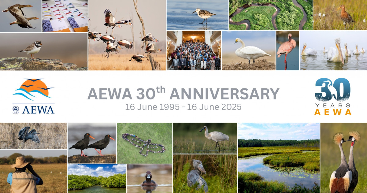 30th Anniversary of AEWA | AEWA