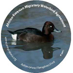 Ferruginous Duck Sticker | AEWA