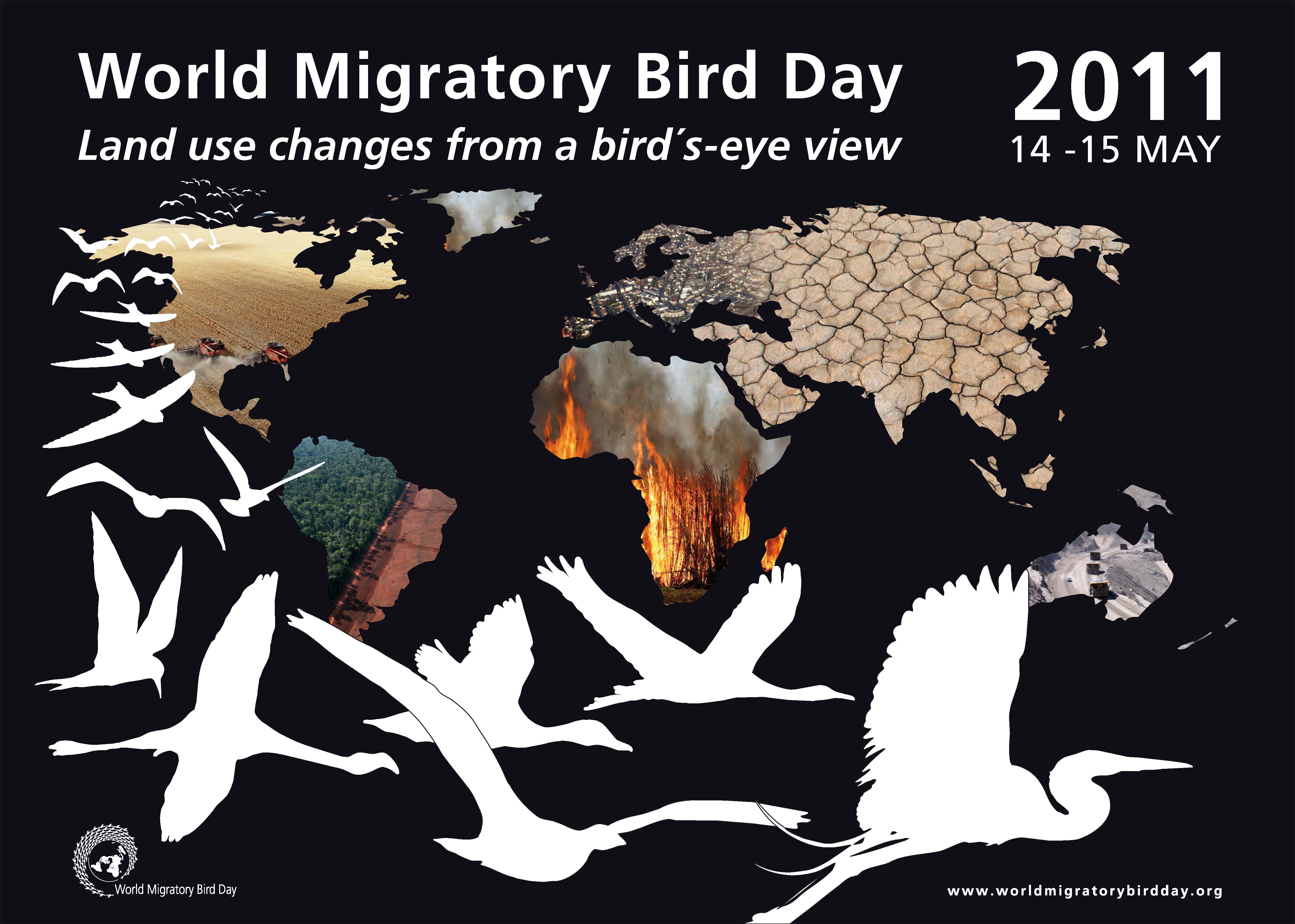 World Migratory Bird Day 2011 Poster | AEWA